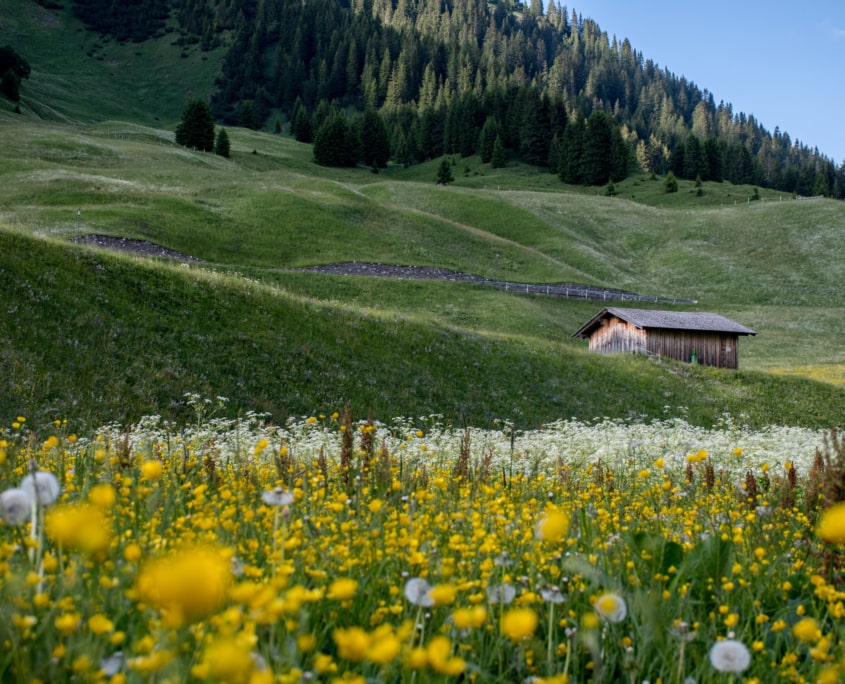 Summer in Lech - Hotel Arabell